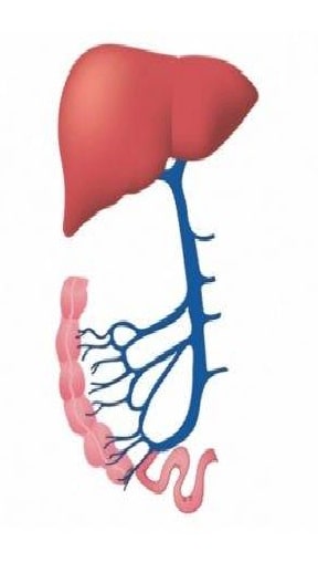 Best Liver Specialist in Nashik - Dr. Hussain Bohari Best Liver Specialist in Nashik - Dr. Hussain Bohari
